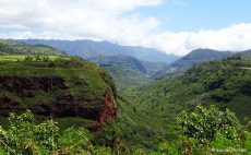 ハナペペ渓谷展望台 | ハワイ州カウアイ島
